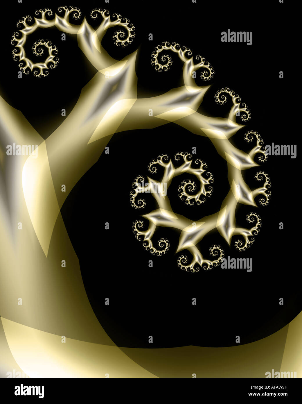 Fractal tree hi-res stock photography and images - Alamy