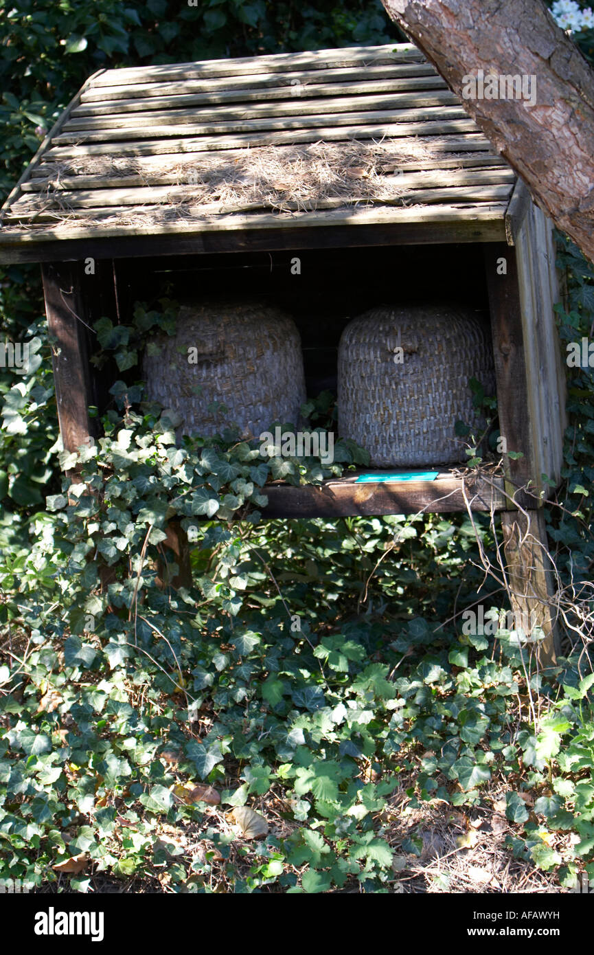 Old apiaries hi-res stock photography and images - Alamy