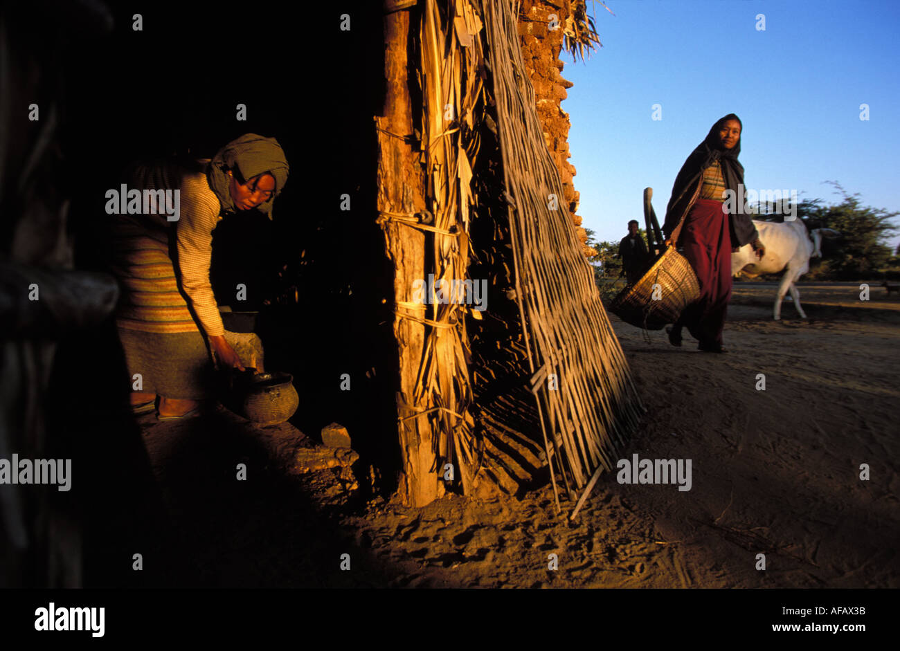 Bagan family of farmers at sunrise Stock Photo - Alamy