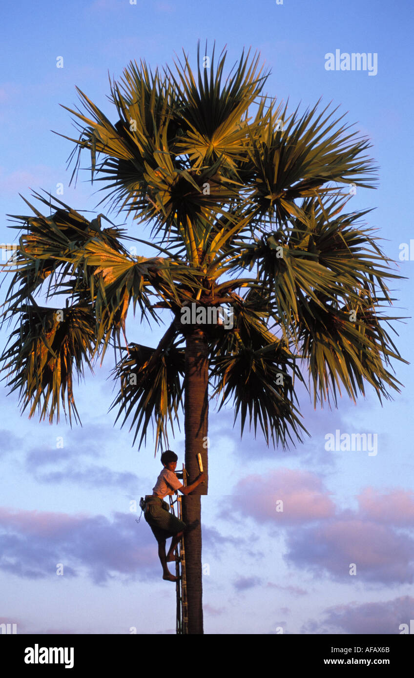 Myanmar burma bagan young men hi-res stock photography and images - Alamy