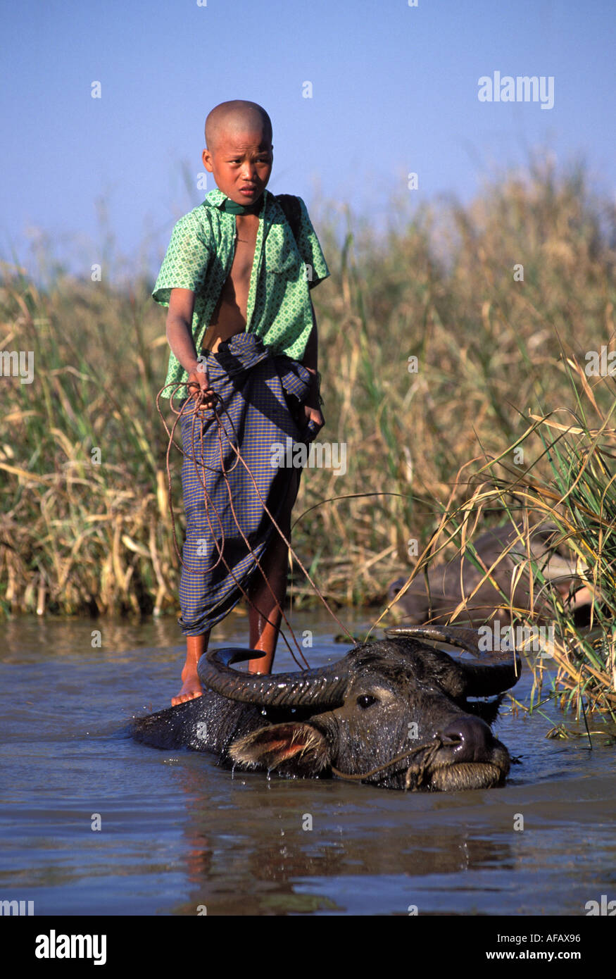 Buffalo river child hi-res stock photography and images - Alamy