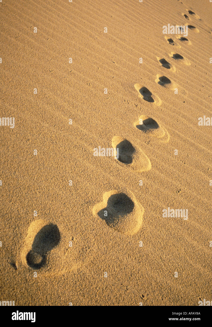 Single set of footsteps tracks across the sand Stock Photo - Alamy
