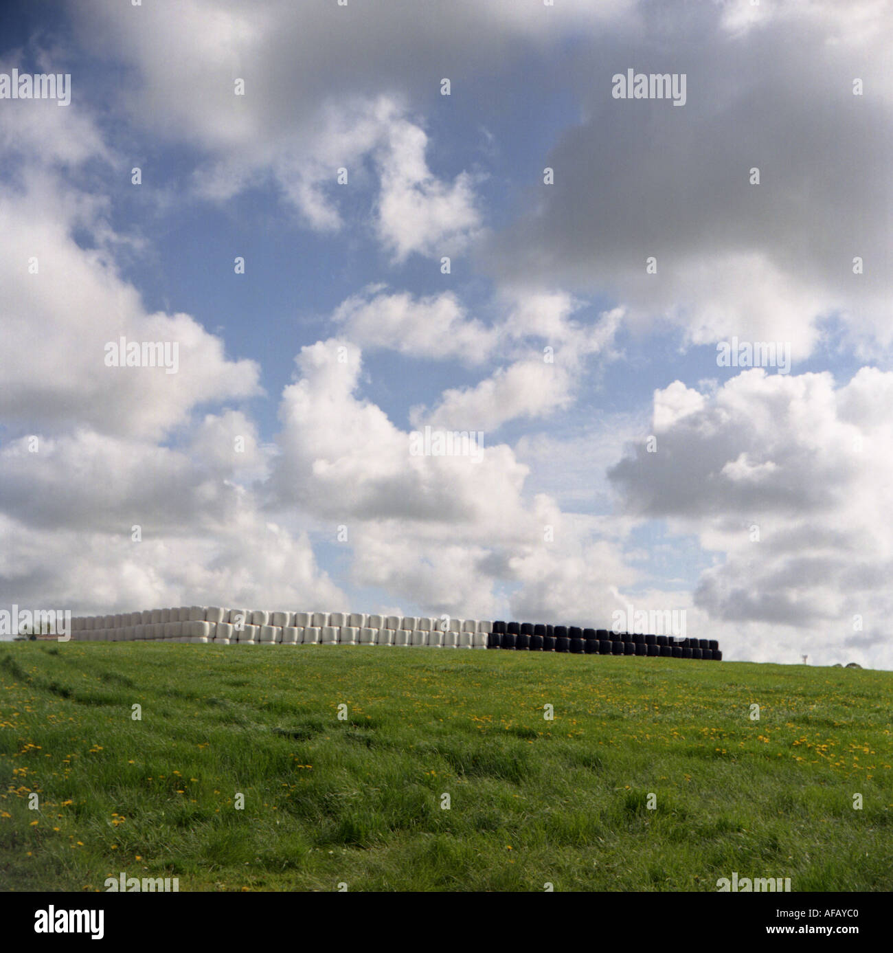 Grass bails hi-res stock photography and images - Alamy