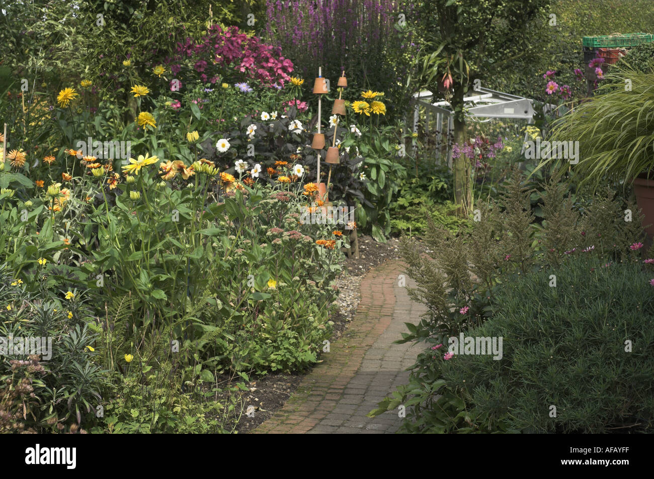 rustic brick garden path through summer border Uk August Stock Photo ...