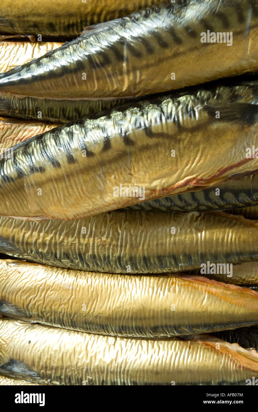 Stacked mackerel at a market stall, Cork, Ireland Stock Photo - Alamy