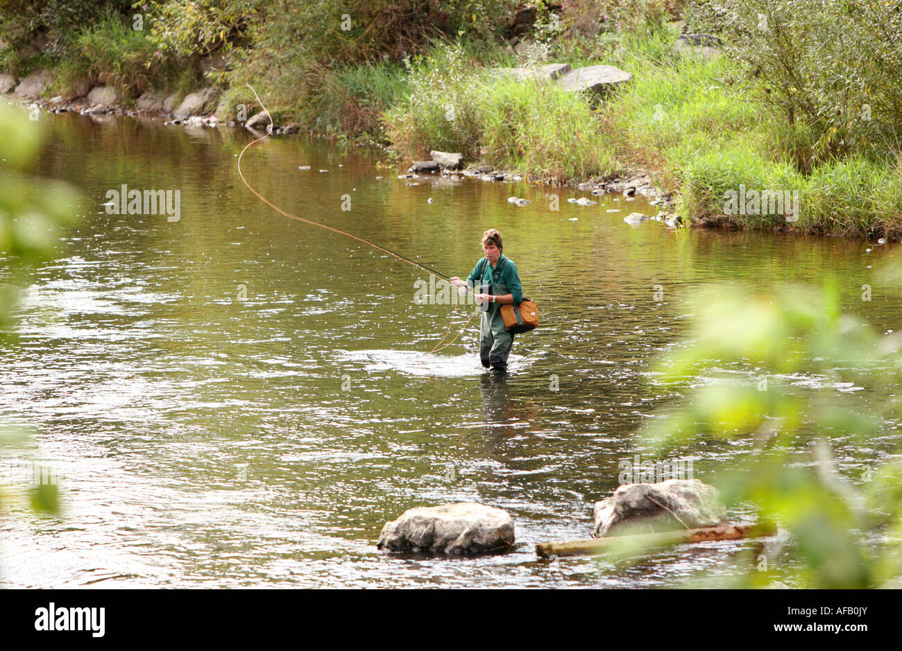 Salmon fishing uk hi-res stock photography and images - Alamy