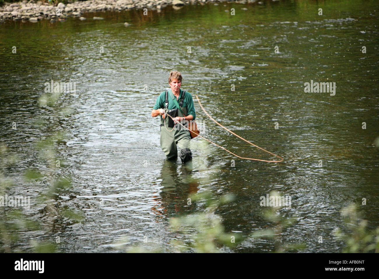 fisherman angler fly fishing on the river taff wales uk for trout ...