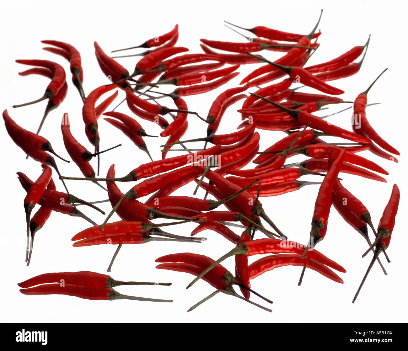Chilli Peppers on a white background Stock Photo - Alamy