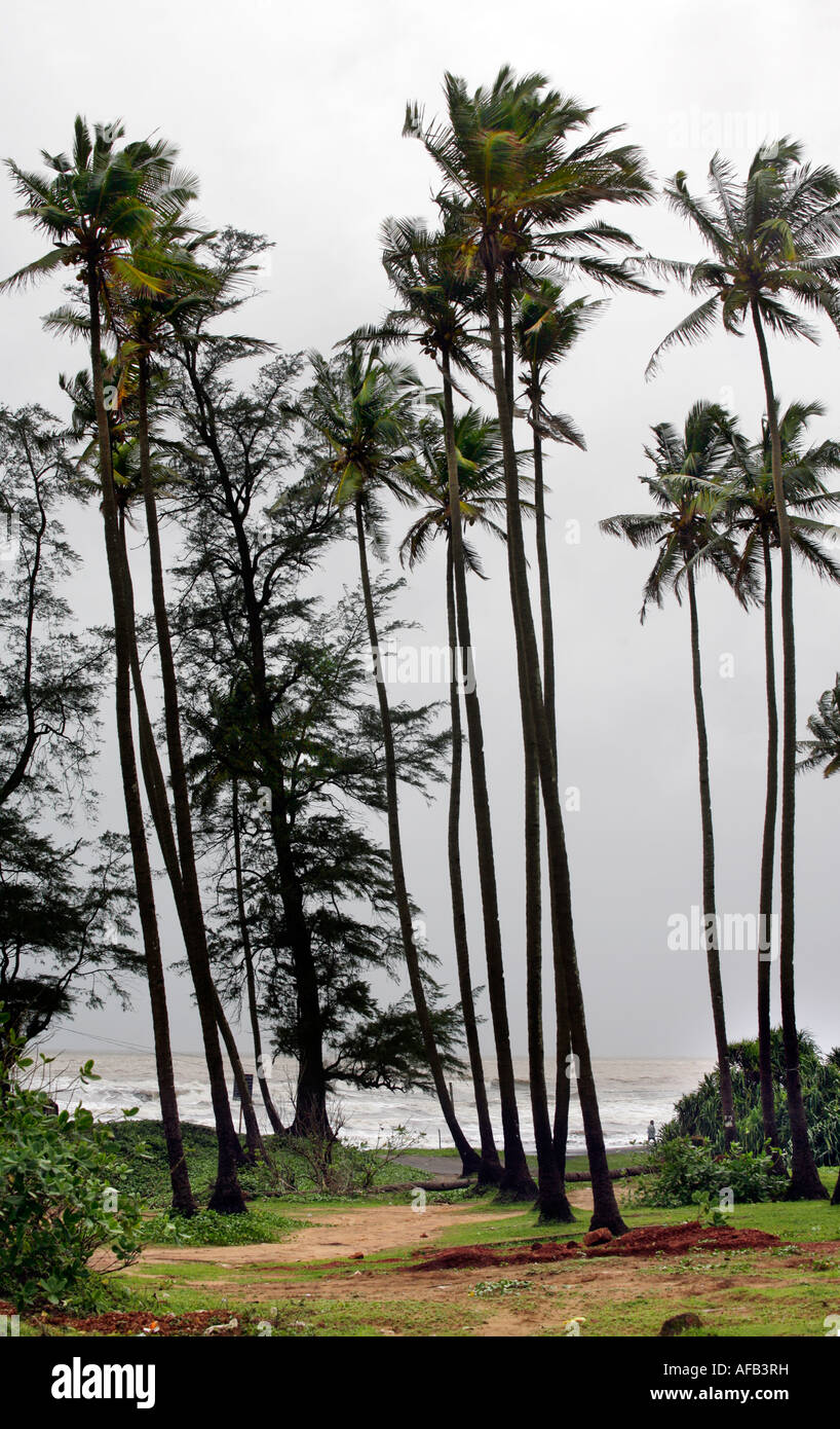 Pernem Goa High Resolution Stock Photography and Images - Alamy
