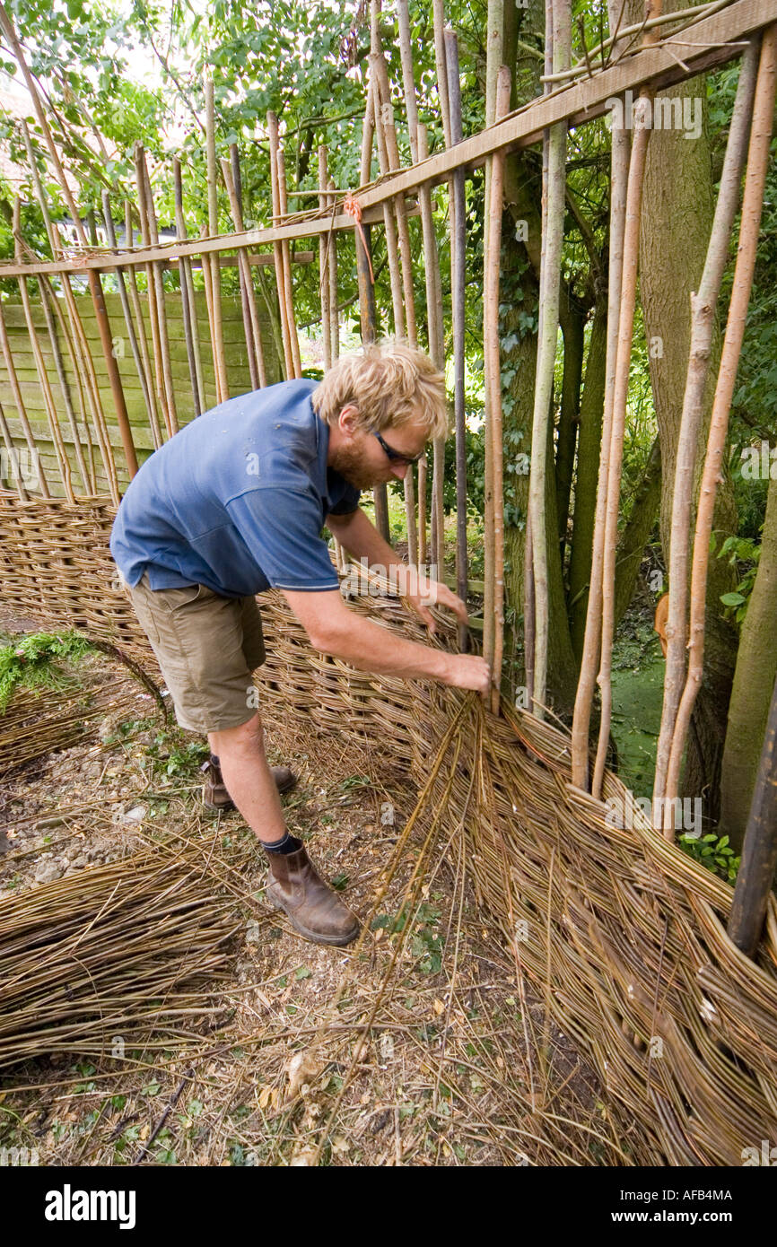 Building an Osier garden fence Stock Photo - Alamy