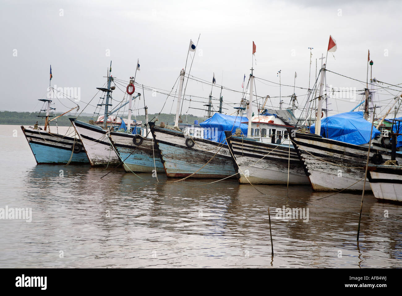File of fishing boats on mooring on Zuari River in Cortalim Marmugao ...