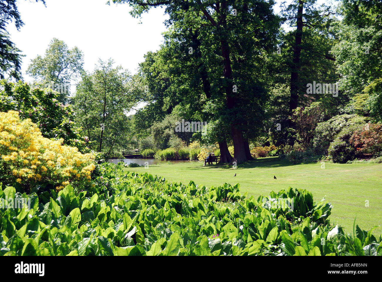 Savill garden windsor great park hi-res stock photography and images ...