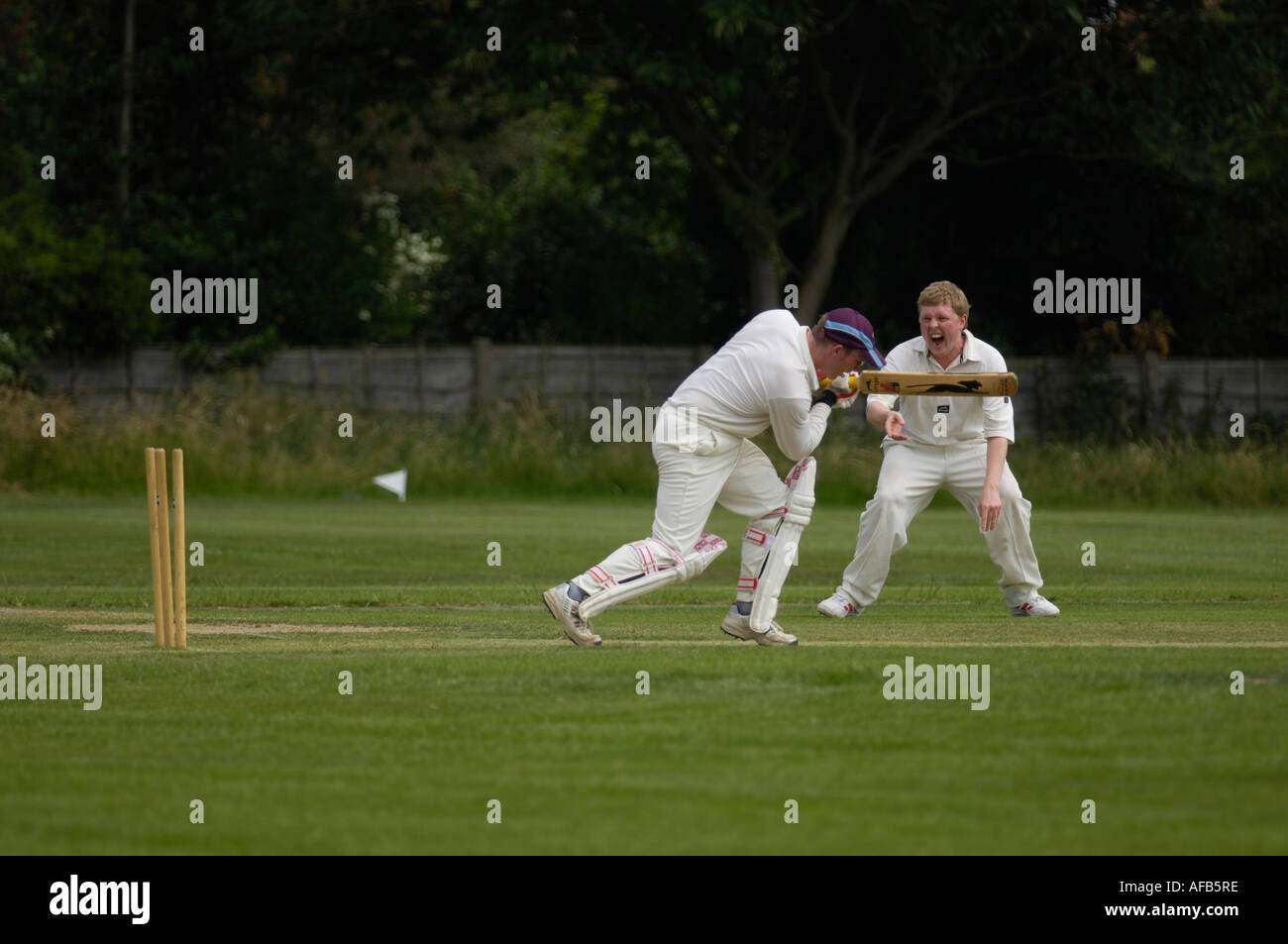Fielder shows delight as batsman is bowled out Stock Photo - Alamy