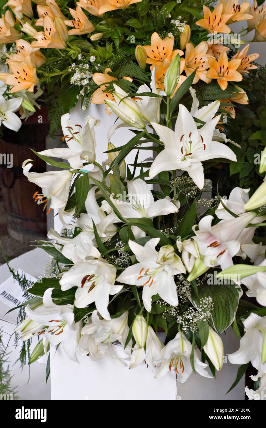 Flower arrangement of white daylily or day lily Nova Zembla lilaceae ...