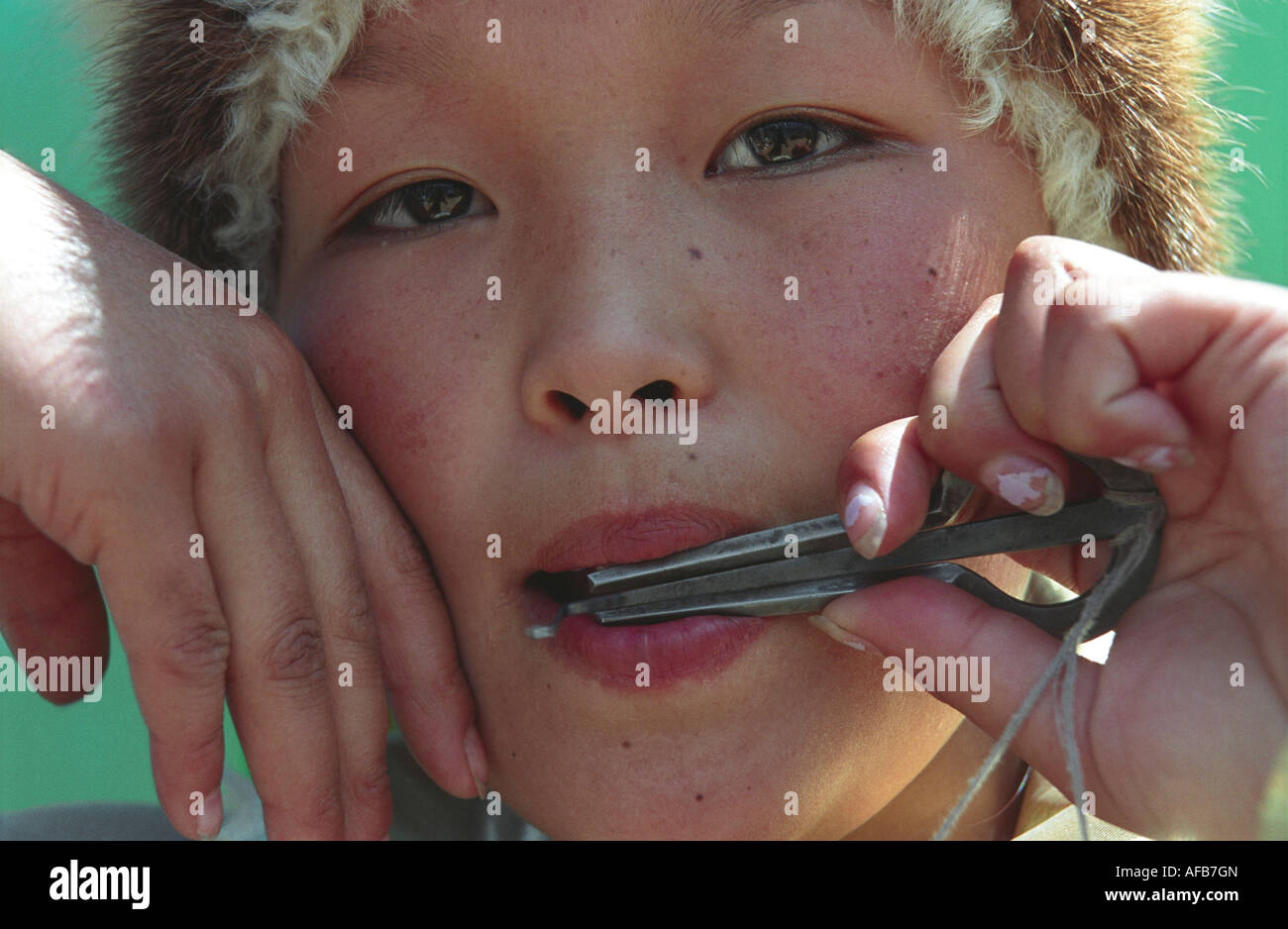 Portrait of a young girl playing national Altaic instrument komus. El ...