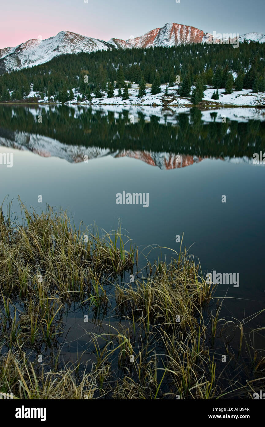 Environment enviroment vertical water hi-res stock photography and ...