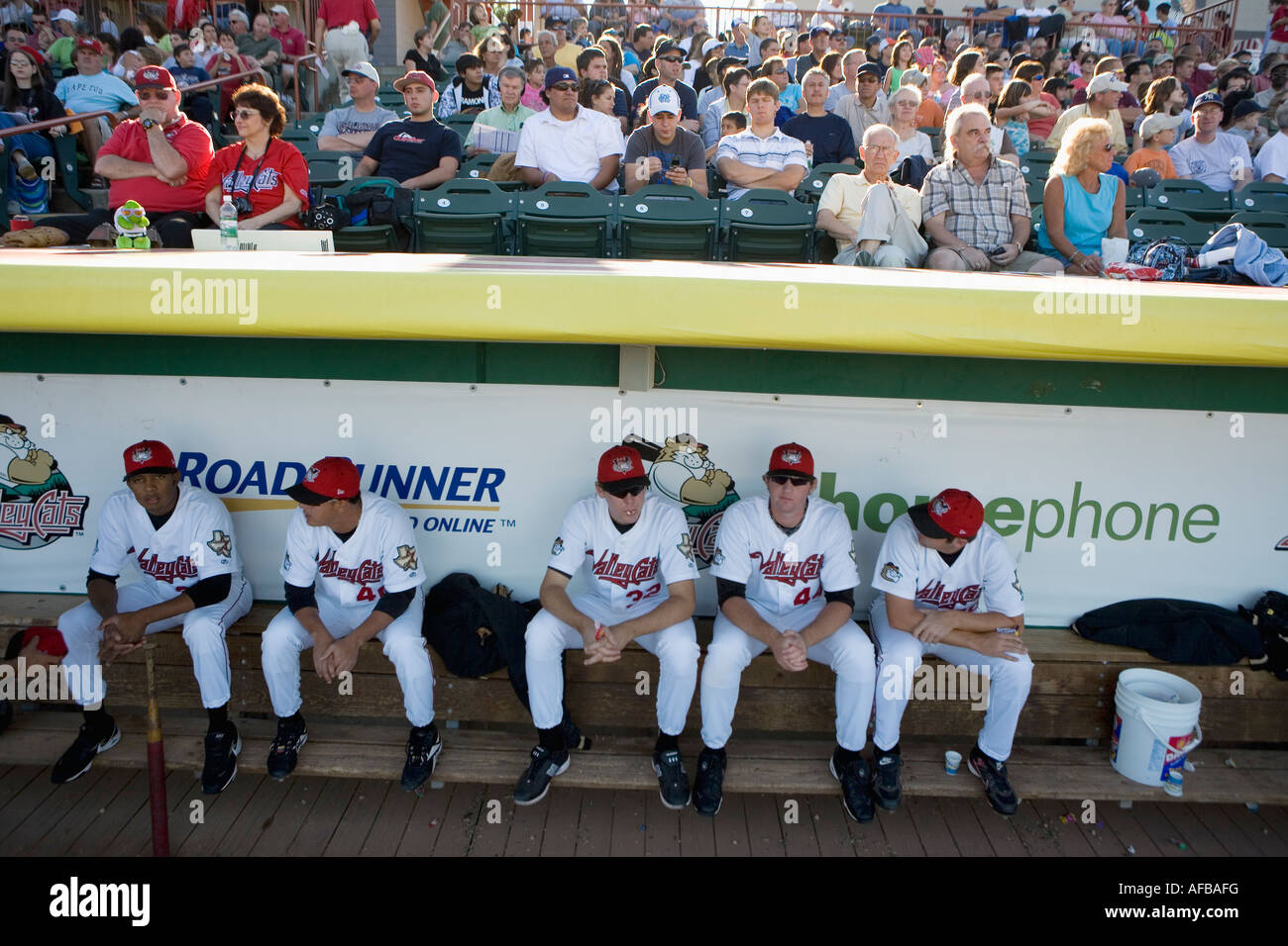 Players In Dugout At A Minor League Baseball Game In Troy New York