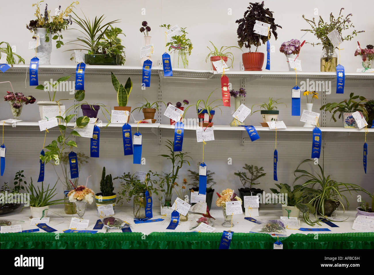 4h fair hi-res stock photography and images - Alamy