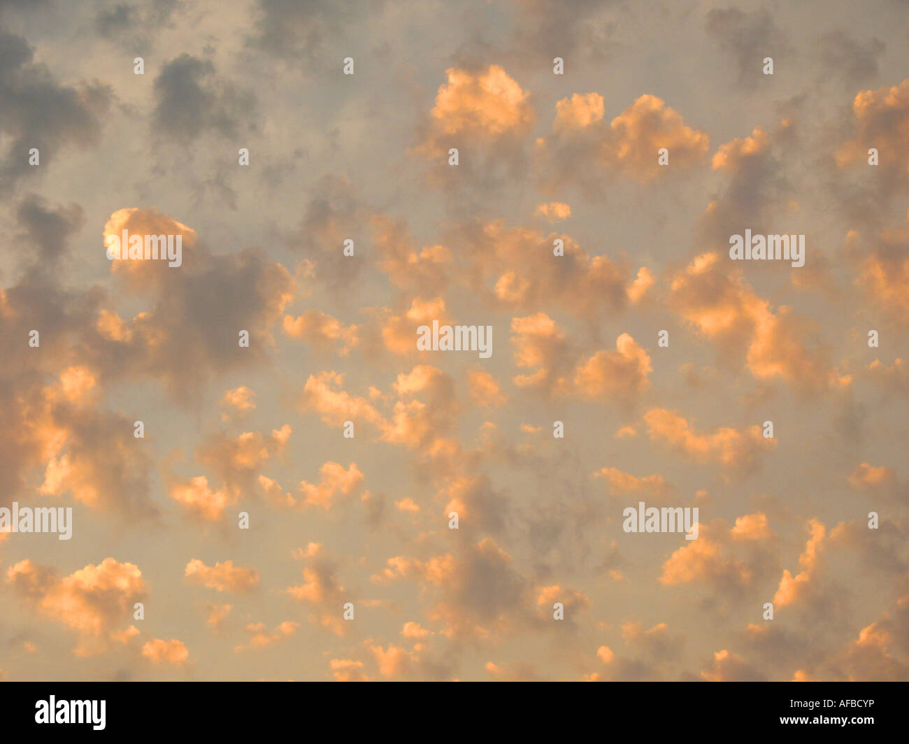 Altocumulus clouds at sunset Stock Photo - Alamy