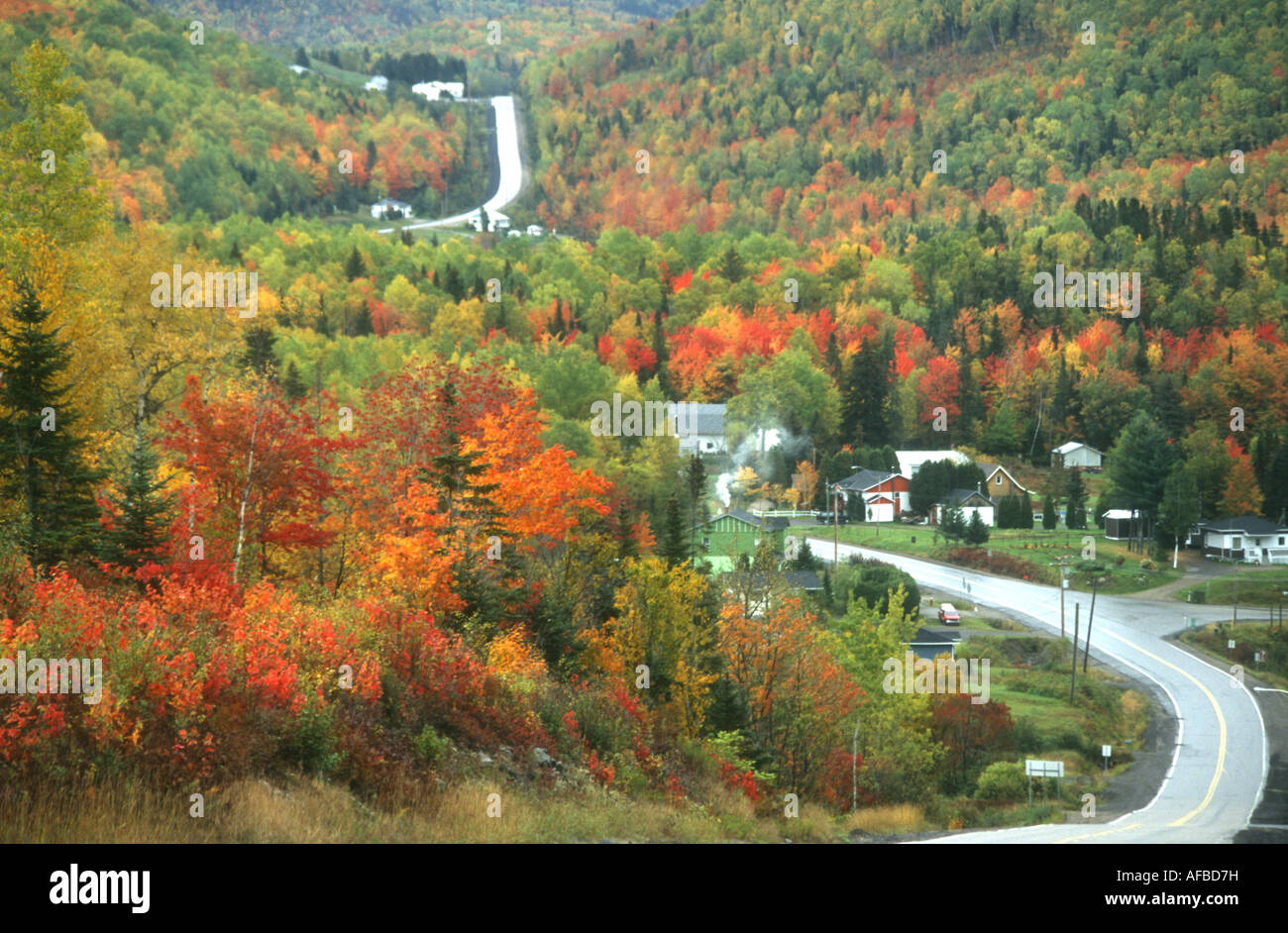 In Quebec the vivid dramatic colors of Autumn leaves draws huge crowds ...