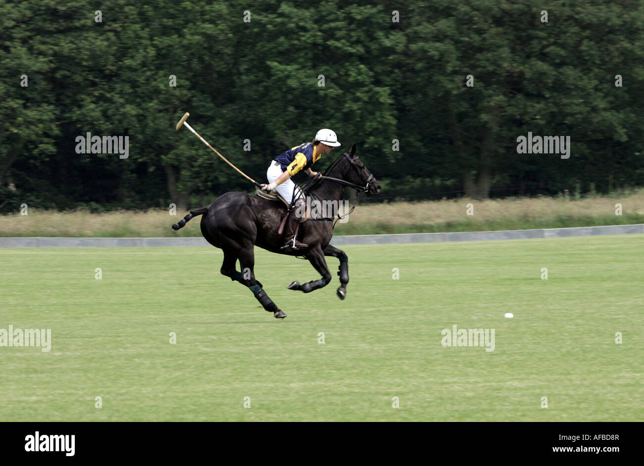 Female polo player in action hi-res stock photography and images - Alamy