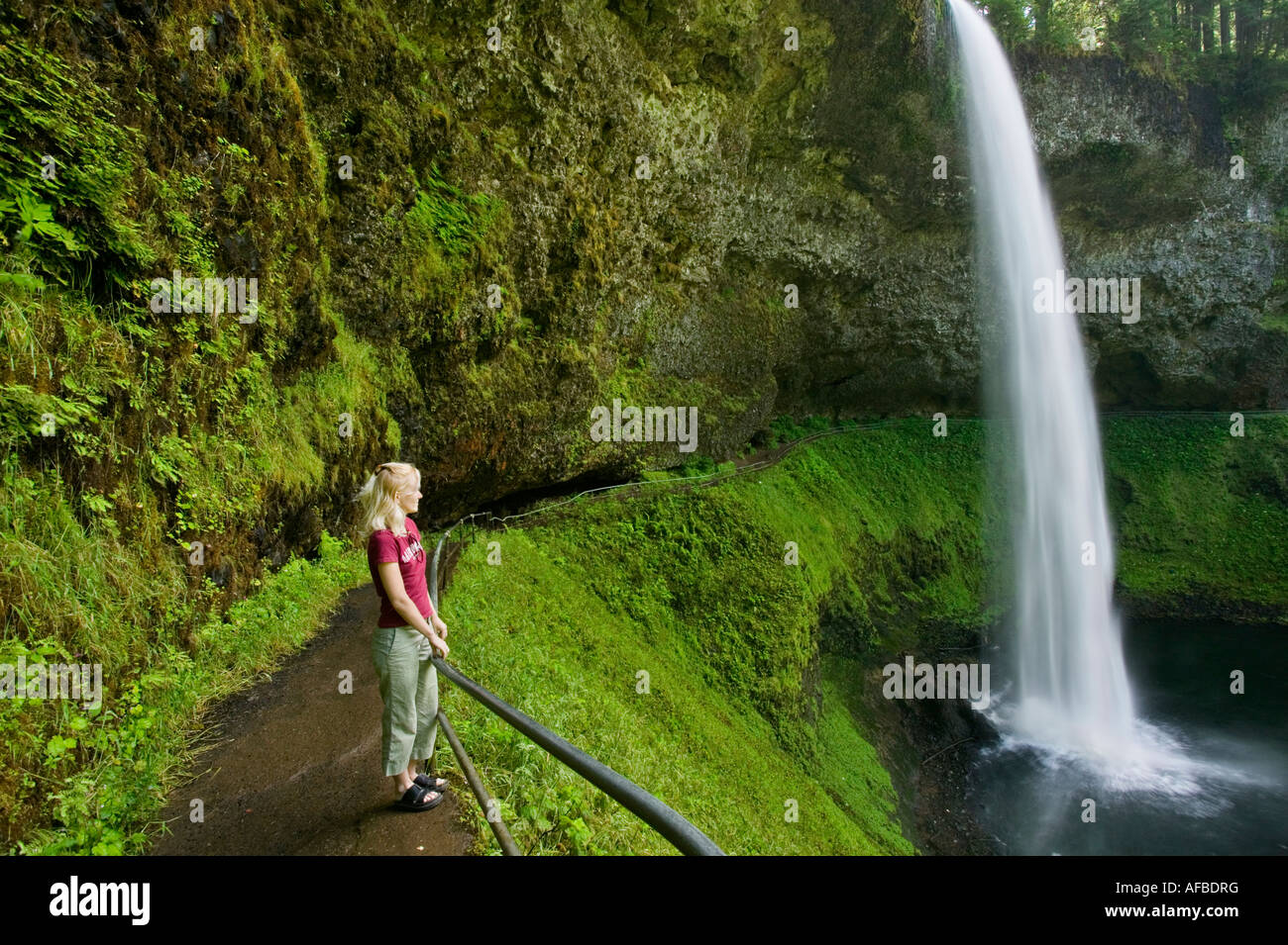 Silver Falls State Park Stock Photo - Alamy