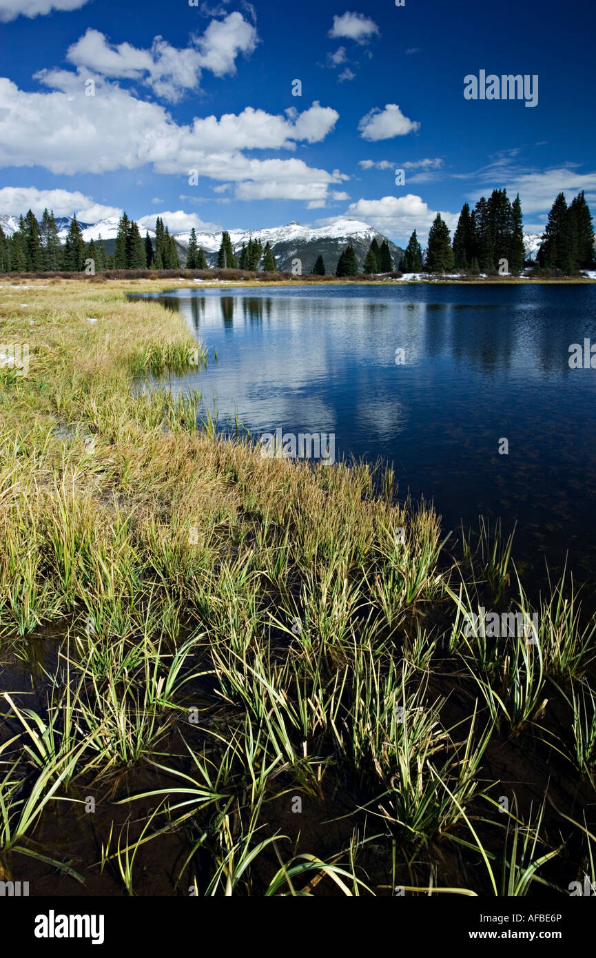 Environment enviroment vertical water hi-res stock photography and ...