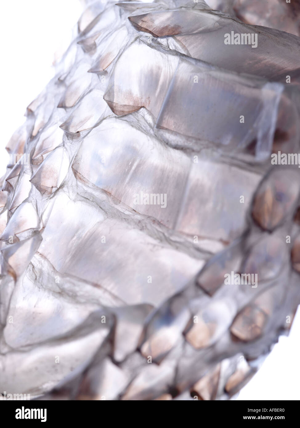 Skin revival hi-res stock photography and images - Alamy