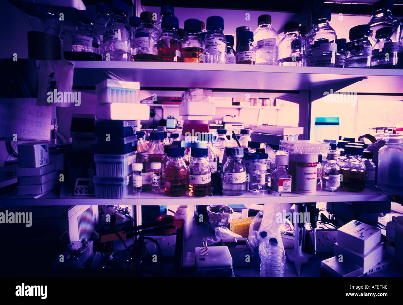 Shelves of Pharmaceutical bottles Stock Photo - Alamy