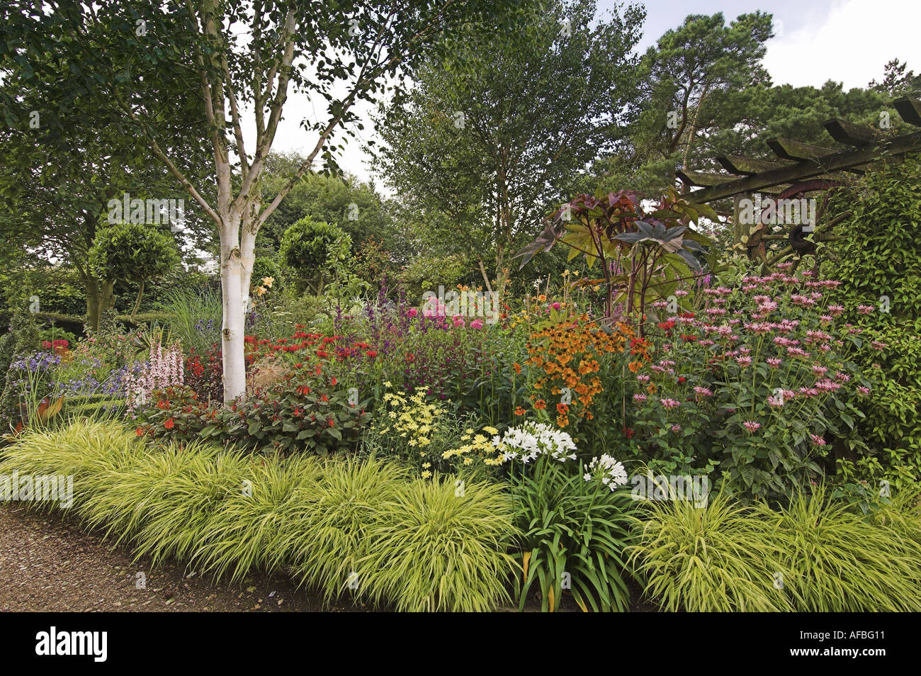 Large garden border with birch tree UK August Stock Photo - Alamy