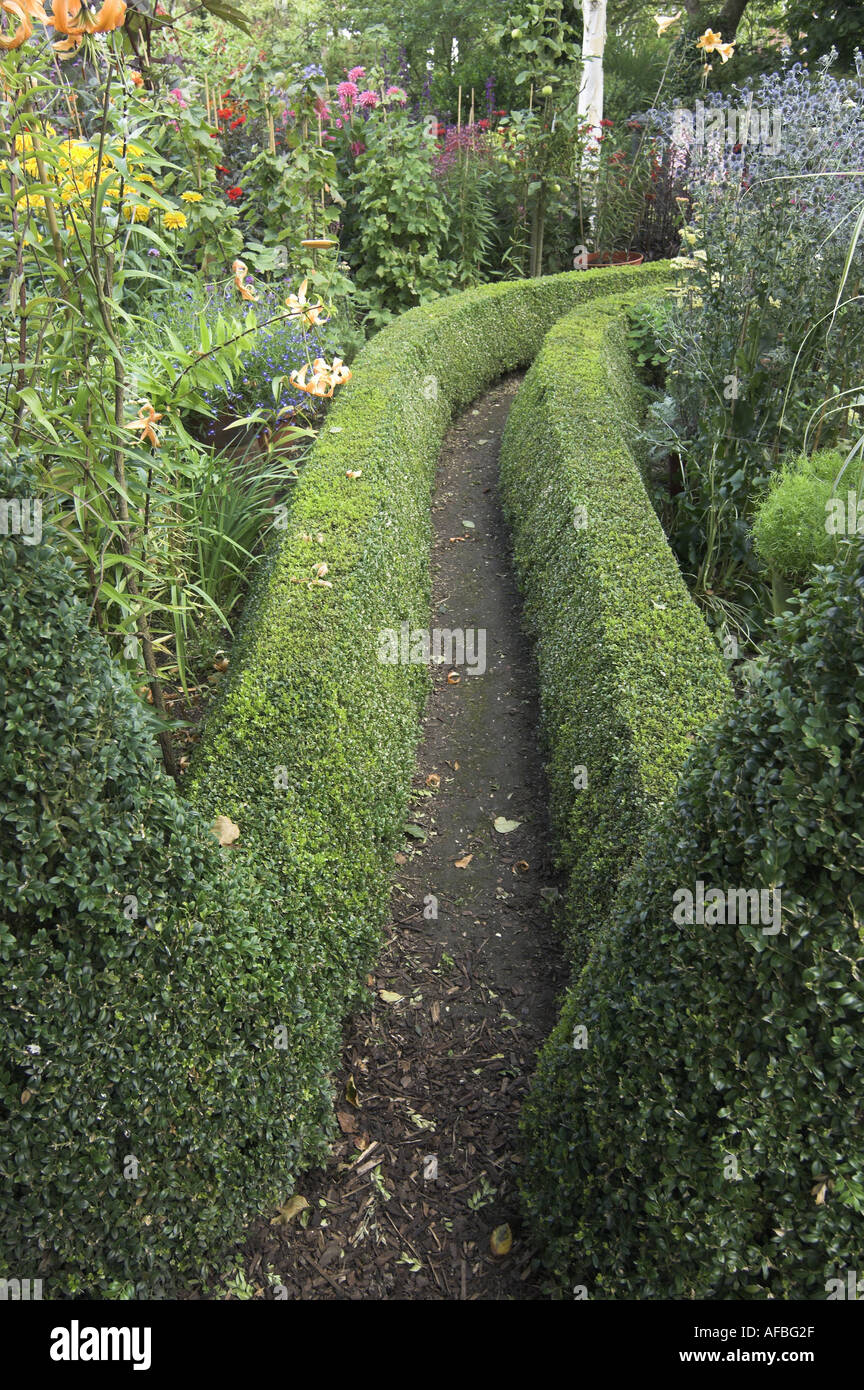Boxwood hedging hi-res stock photography and images - Alamy