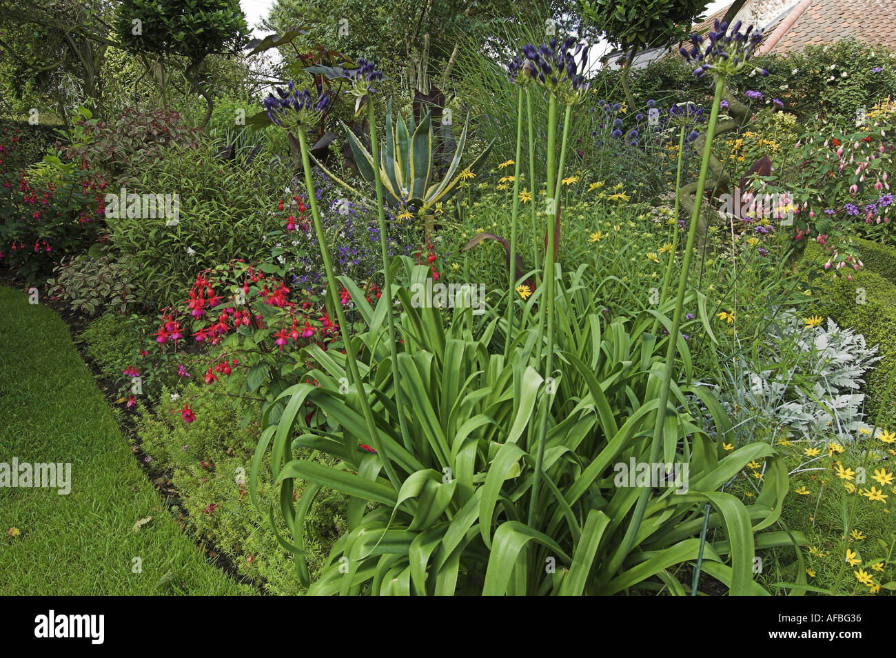 flower border in late sumer Stock Photo - Alamy