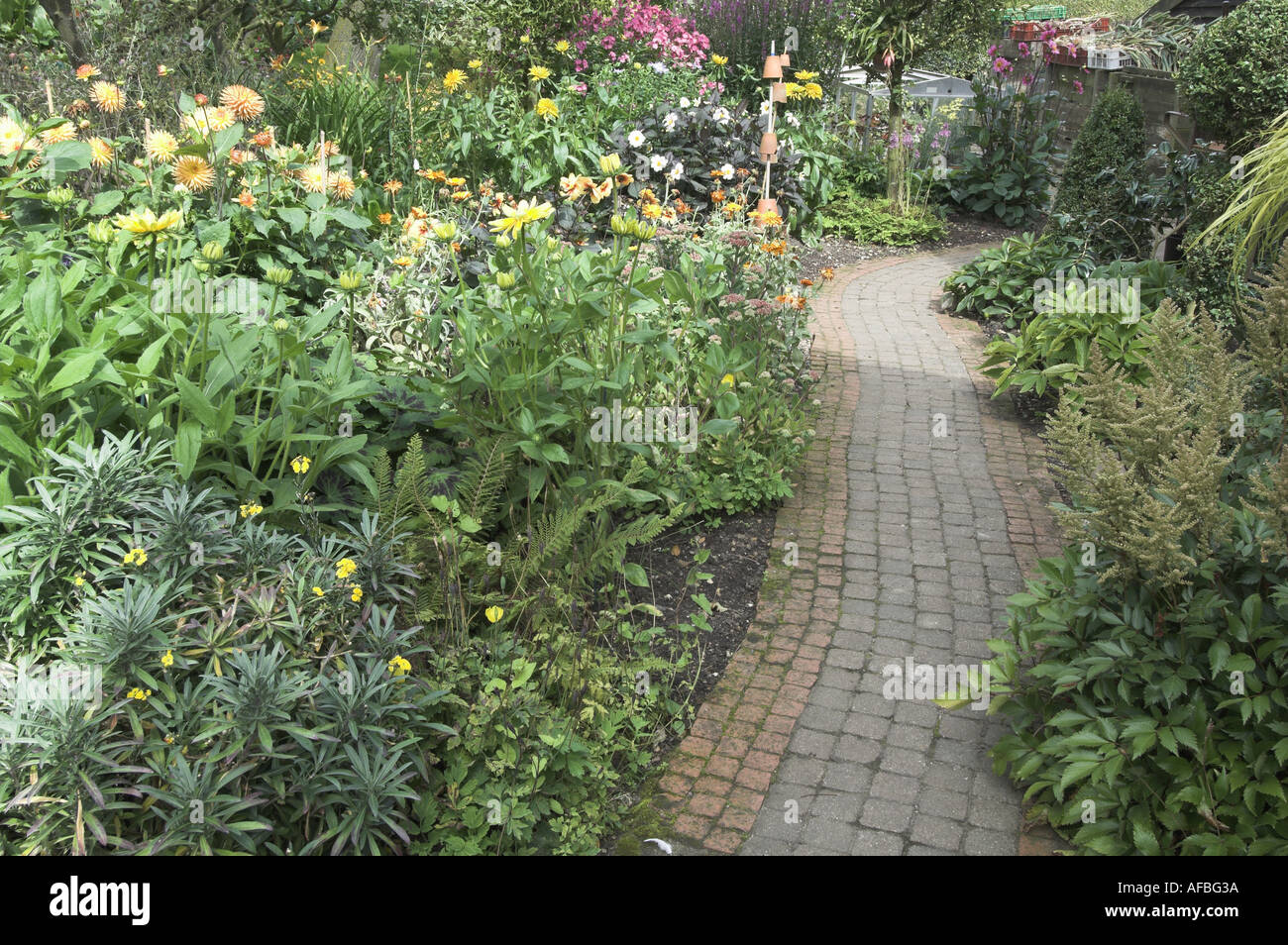 garden path through summer border Stock Photo - Alamy