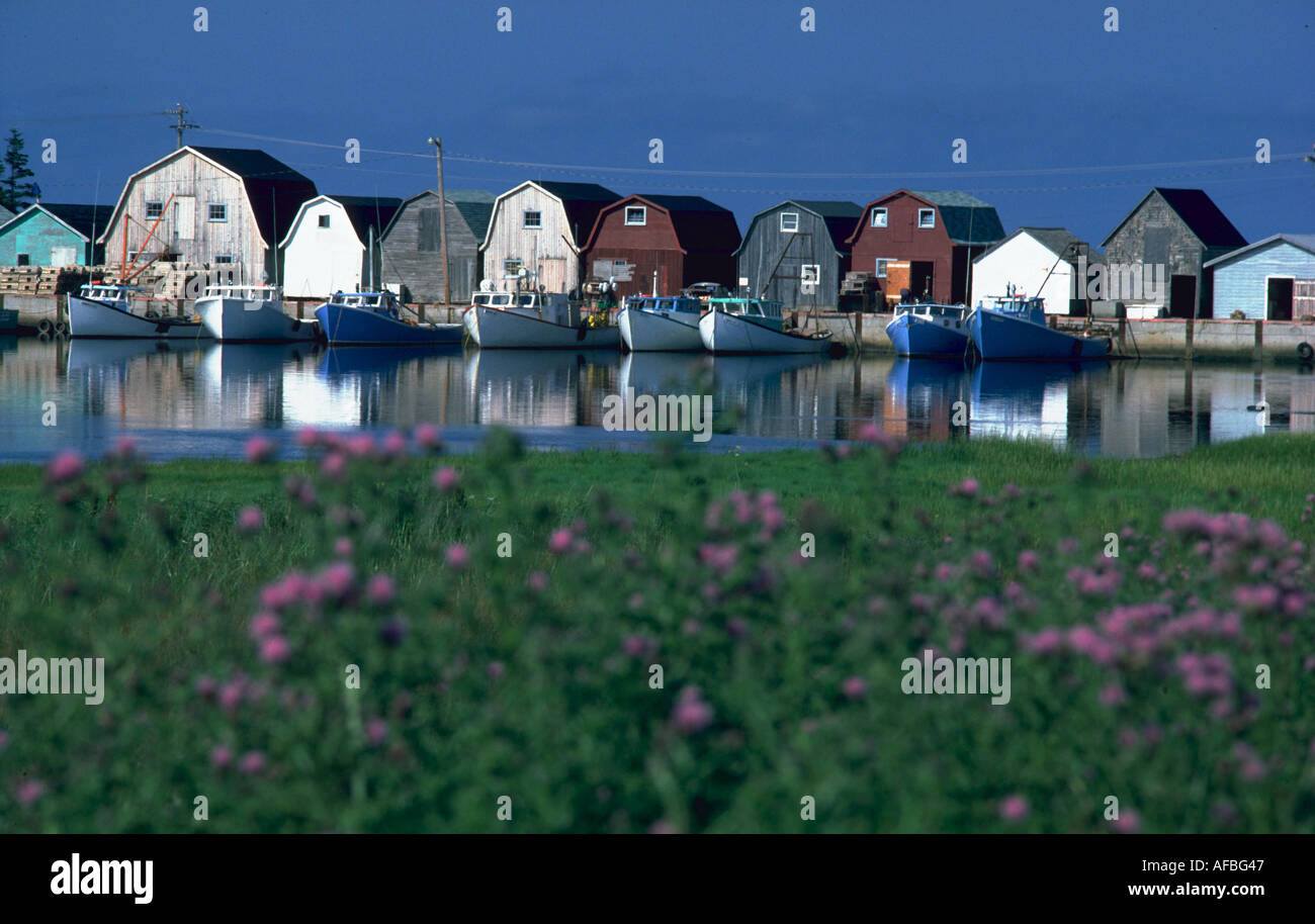 Boats and reflections in harbor at Malpeque Prince Edward Island Stock ...
