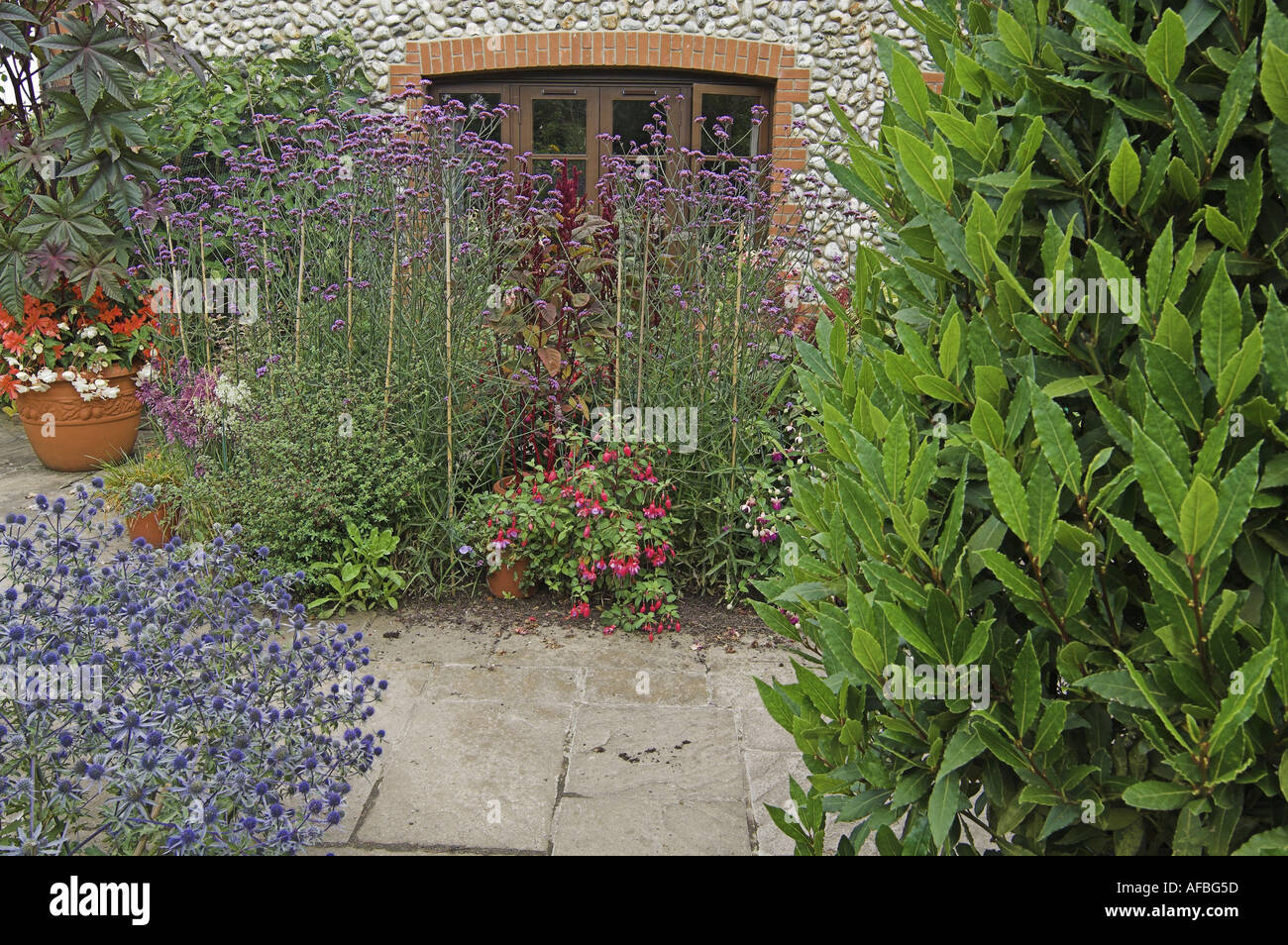 Tree obscuring hi-res stock photography and images - Alamy