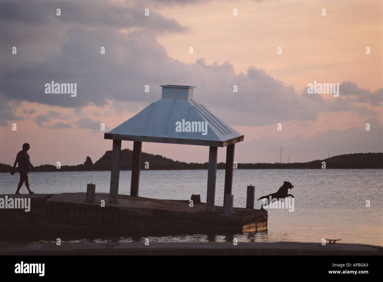 Dog jumping off pier hi-res stock photography and images - Alamy