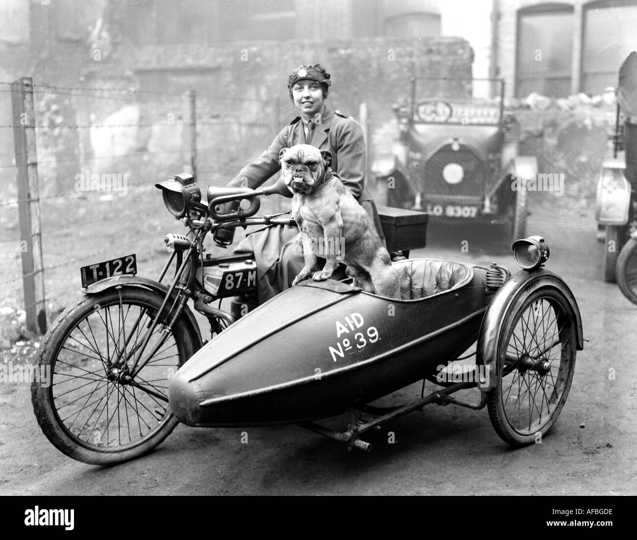 World war dog cart hi-res stock photography and images - Alamy