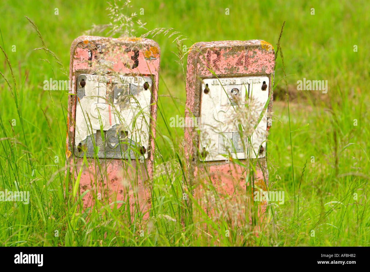 Water board pipe markers painted pink Stock Photo - Alamy