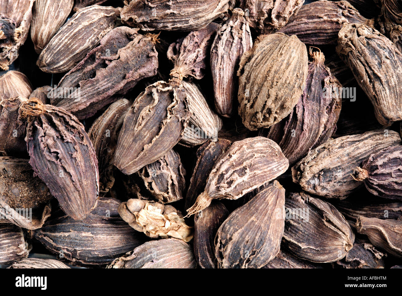 Dried cardamom, close-up Stock Photo - Alamy