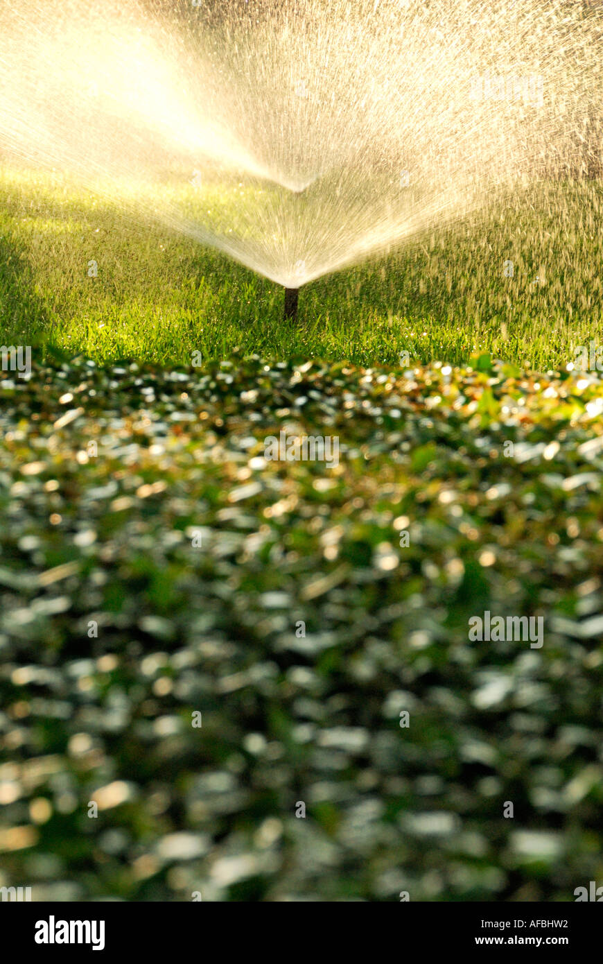 Graphic close up irrigation hi-res stock photography and images - Alamy