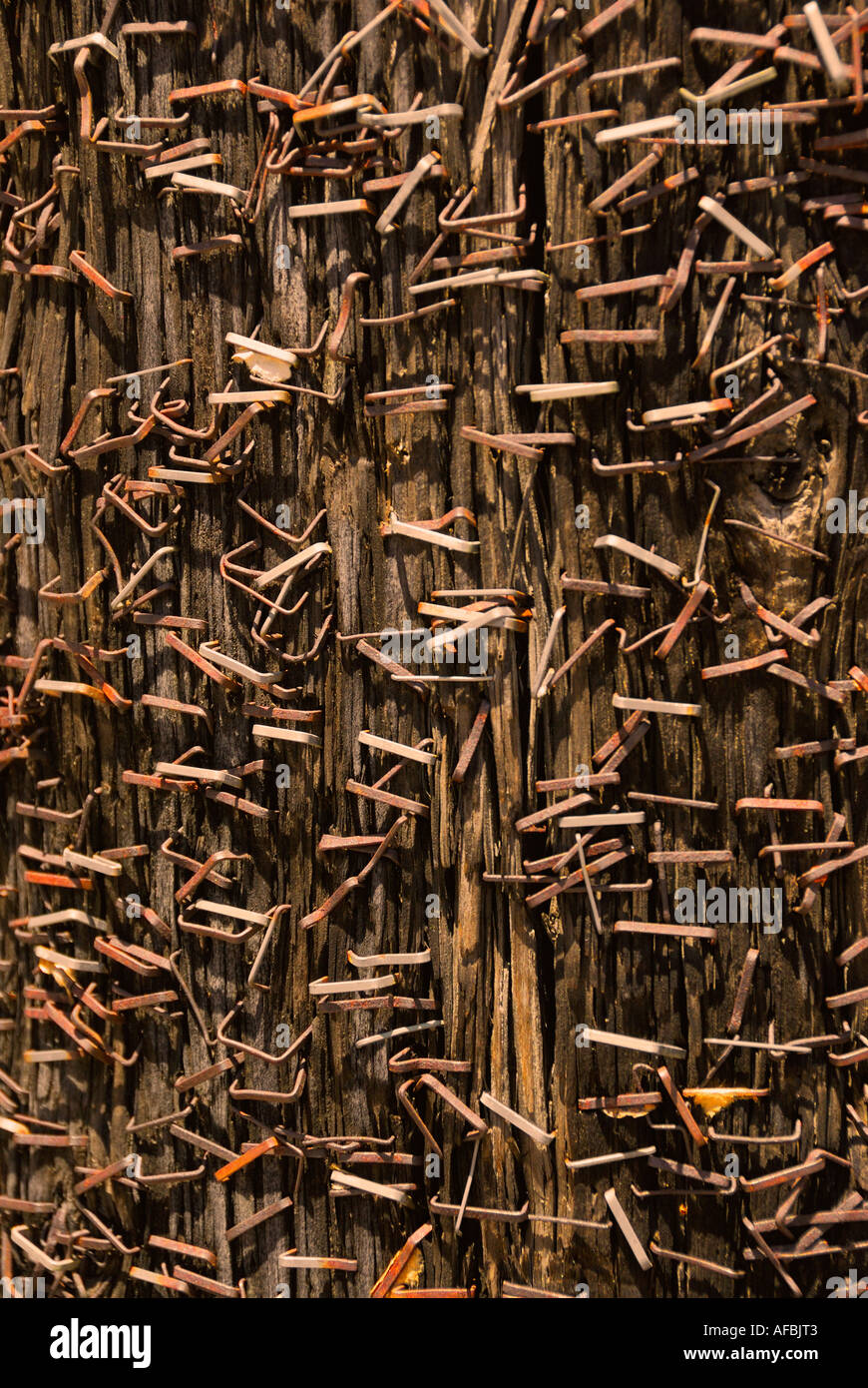 Rusted staples hi-res stock photography and images - Alamy
