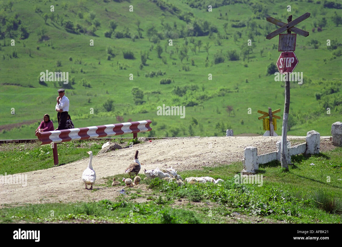 Countryside railroad crossing at romanian countryside in Zece Prajini ...