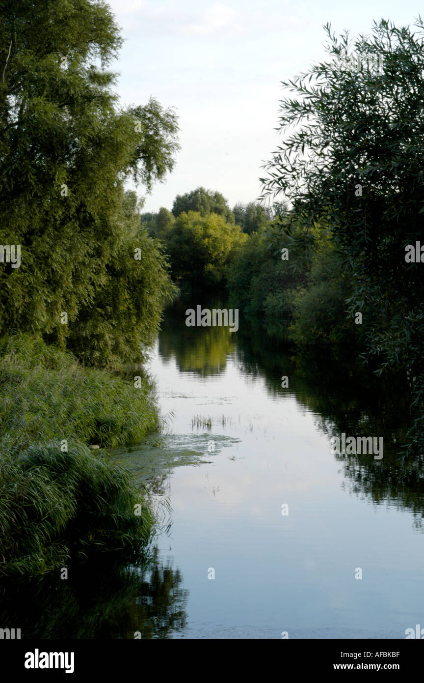river ouse with trees in bedford uk Stock Photo - Alamy