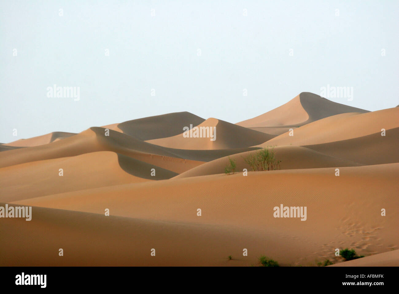 Tenger desert hi-res stock photography and images - Alamy