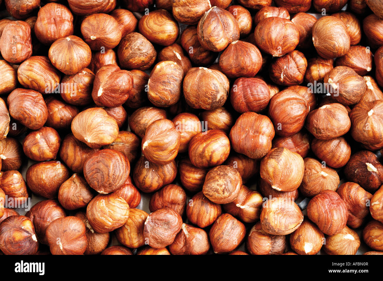 Hazel nuts, close-up Stock Photo - Alamy