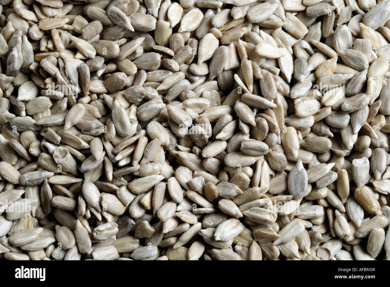 Sunflower seeds, close-up Stock Photo - Alamy