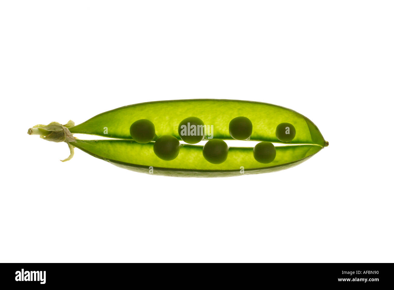 Industrial farming peas Cut Out Stock Images & Pictures - Alamy