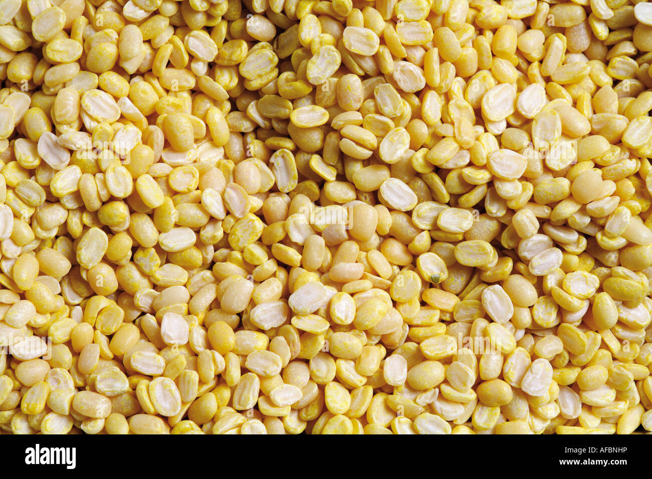 Mungo beans, close-up Stock Photo - Alamy