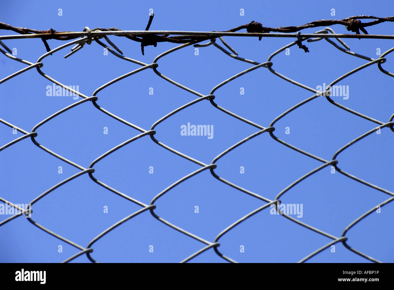 Barbed wire fence Stock Photo - Alamy