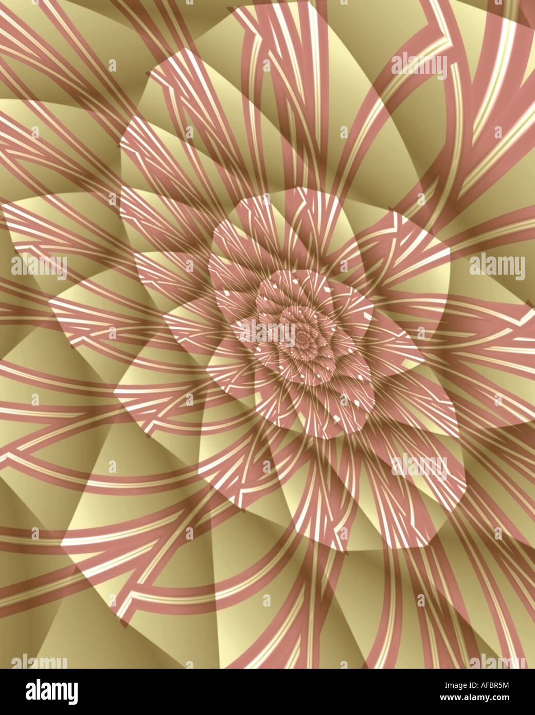 Resembling a rose hi-res stock photography and images - Alamy